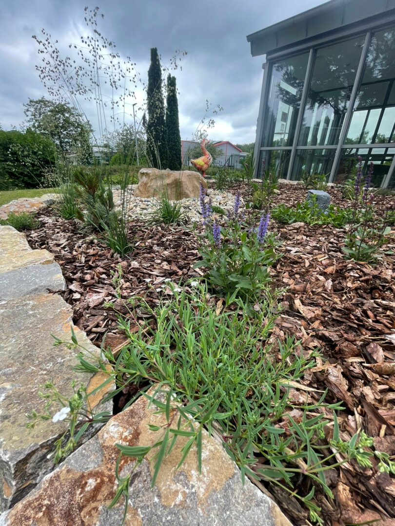 Trockenmauer/Naturstein • Woltjen Garten- und Landschaftsbau